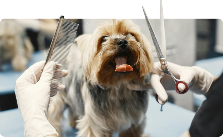 Mobile Pet Grooming Vans - Curbside Upfitters